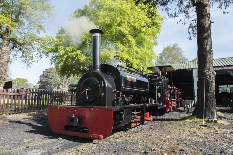 Festival Of Transport - Bressingham Steam Museum